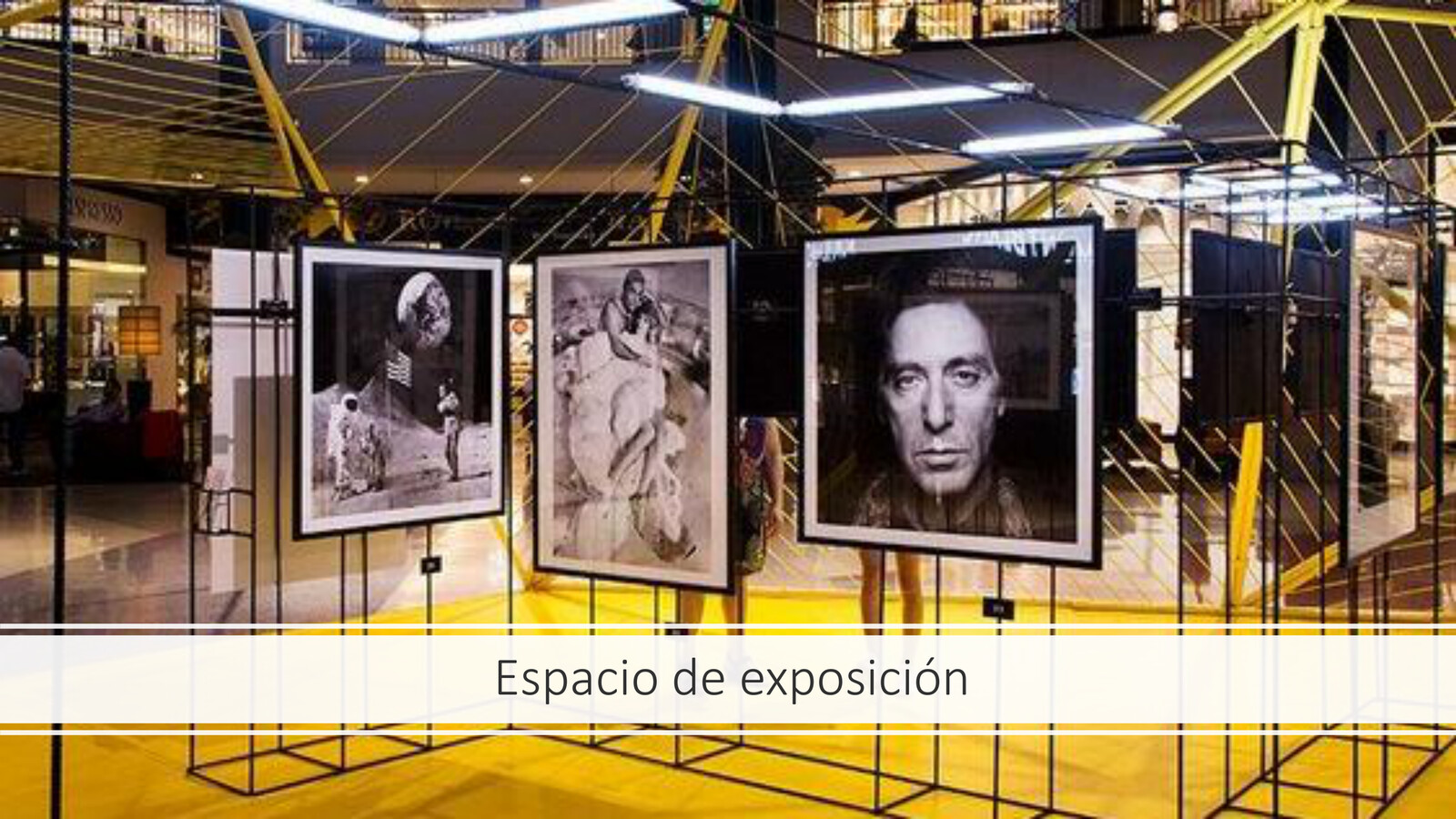 PROYECTO FINAL EXPOSICION by - Flipsnack