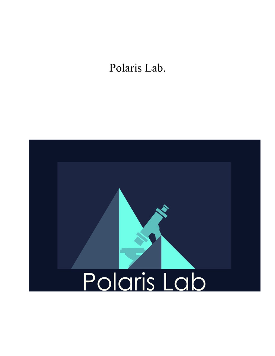 Manual de organización de polaris lab by pedro rodas - Flipsnack