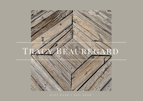 Tracy's Introduction by Tracy Beauregard - Flipsnack