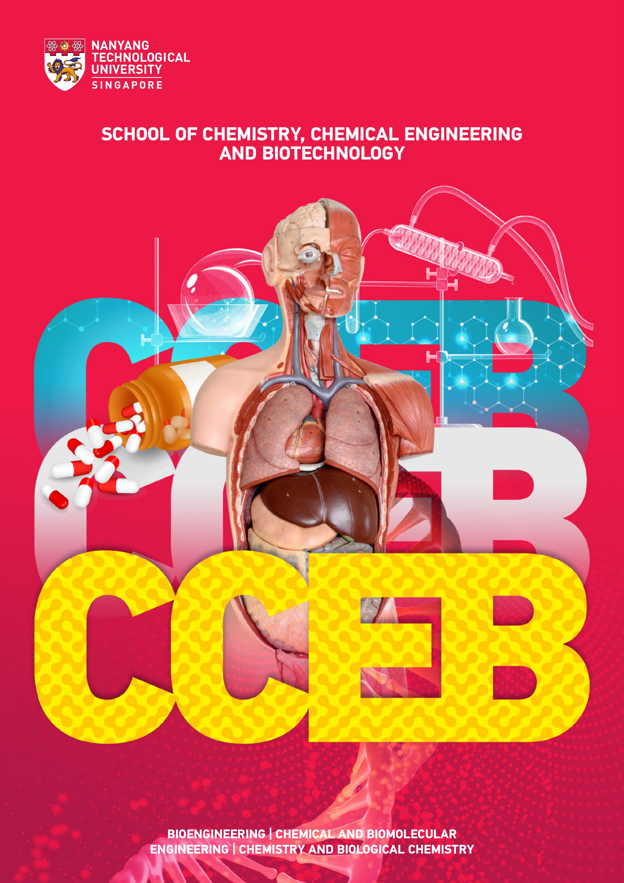 CCEB UG Brochure 2023 by NTU