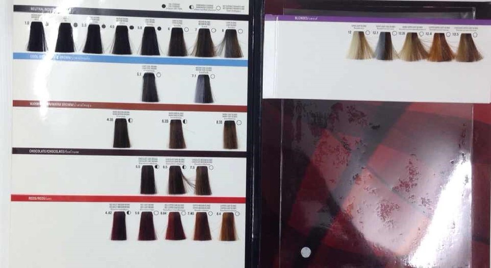 socolor chart by gbrayong - Flipsnack