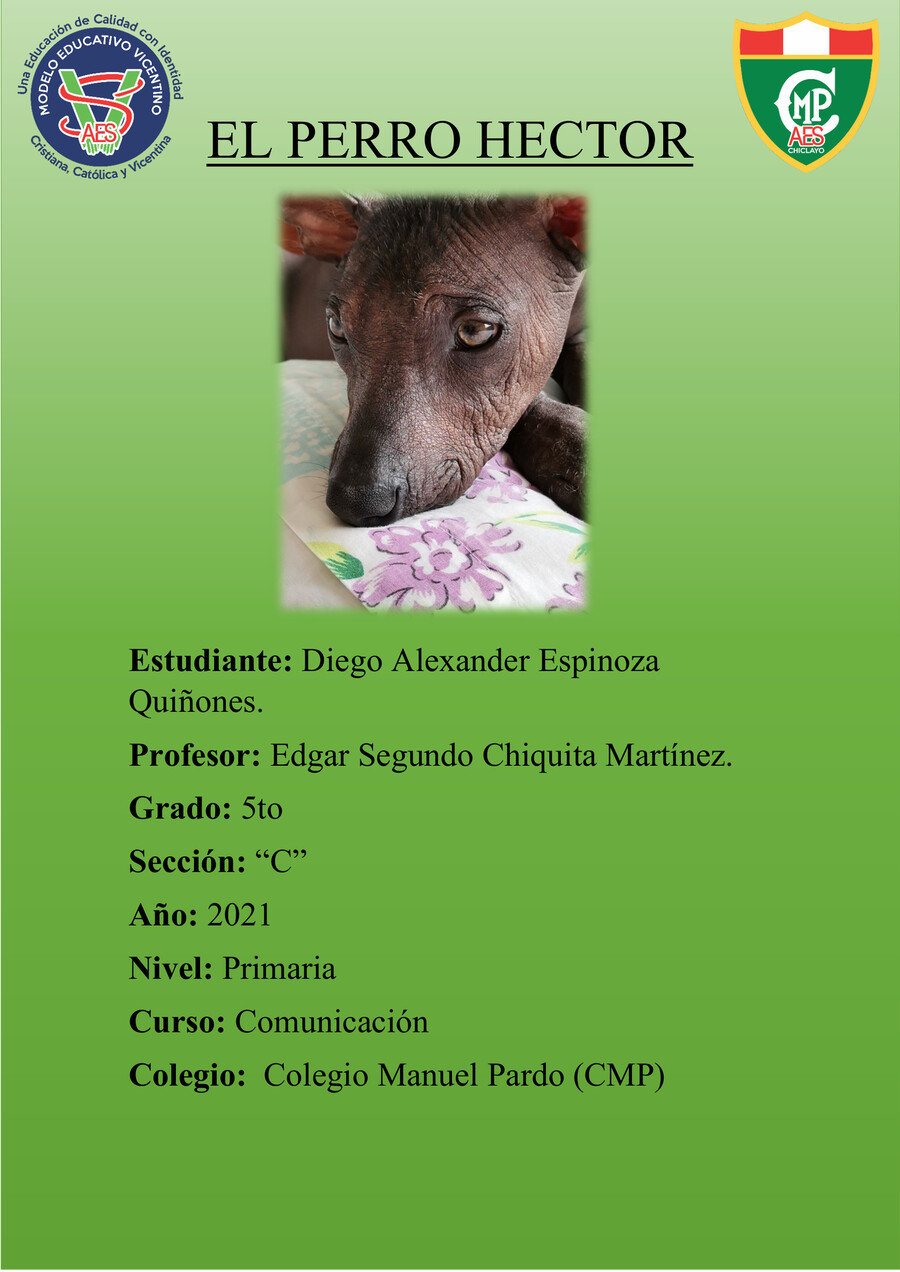 Mi cuento ABP - EL PERRO HECTOR by Diego Espinoza - Flipsnack