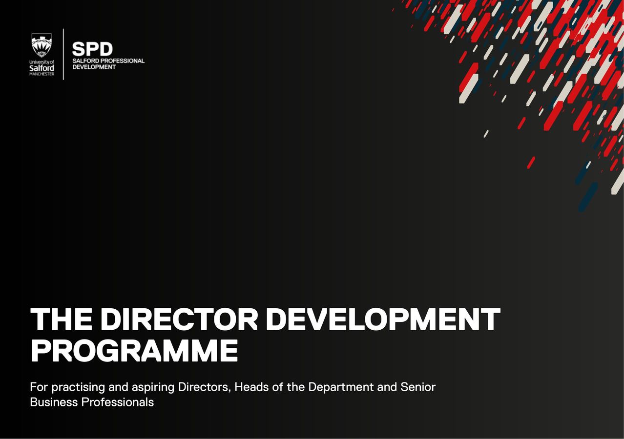 Director Development Programme by... - Flipsnack