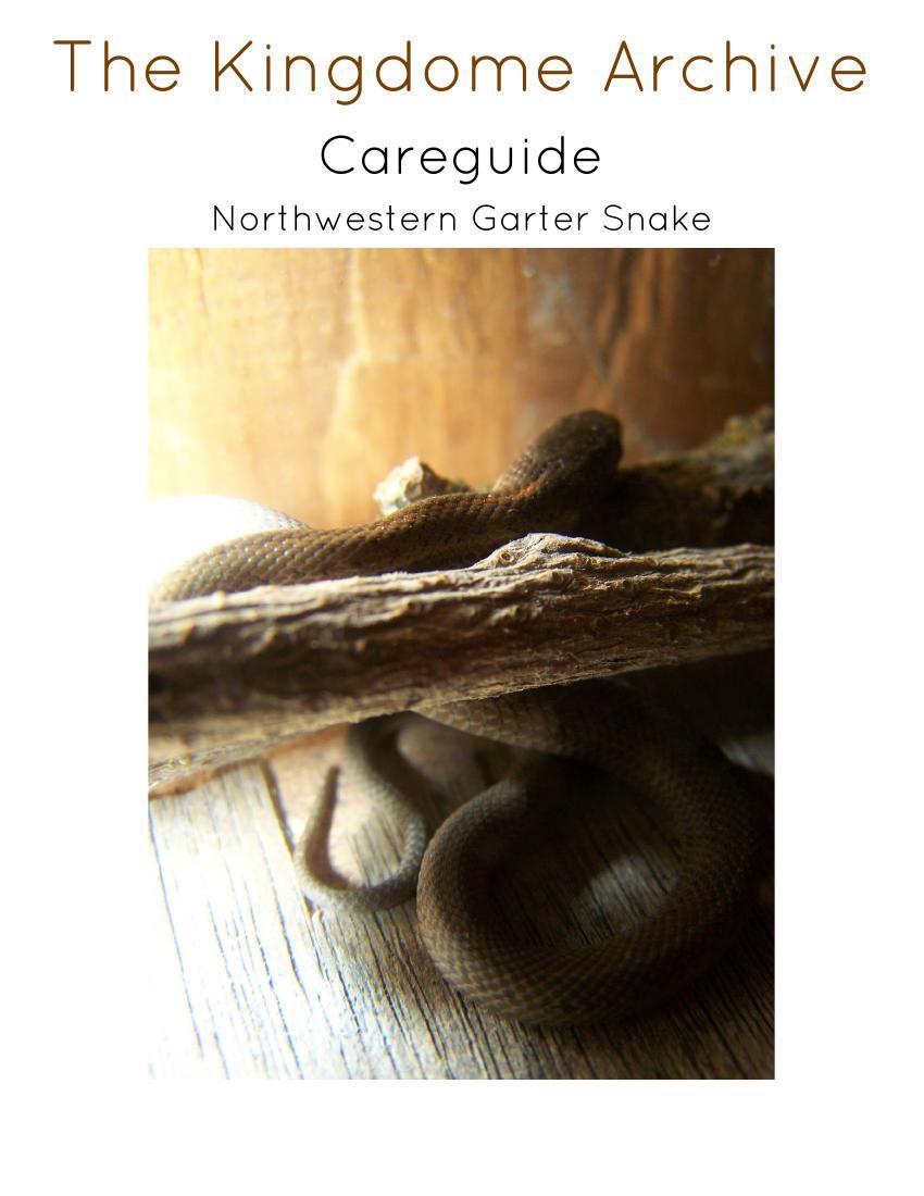Northwestern Garter Snake Care Guide by kollin clark - Flipsnack