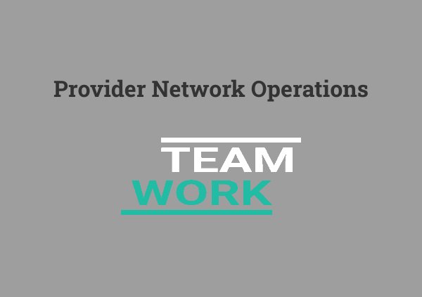 Provider Network Operations by Karen Fadley - Flipsnack