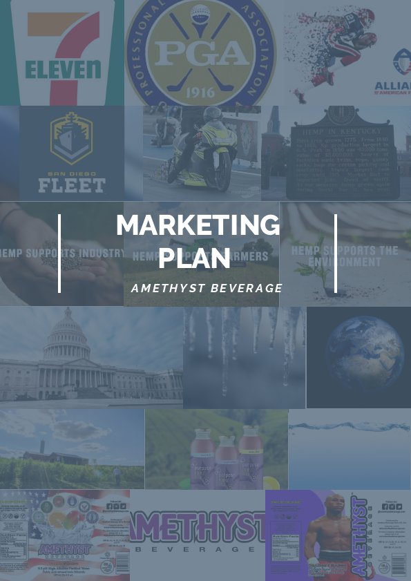 MARKETING PLAN by Gregg Marte - Flipsnack