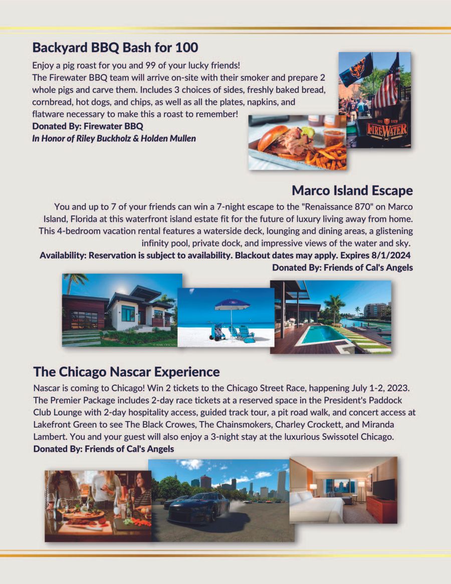 Gala 2023 Program Book by Susan - Flipsnack