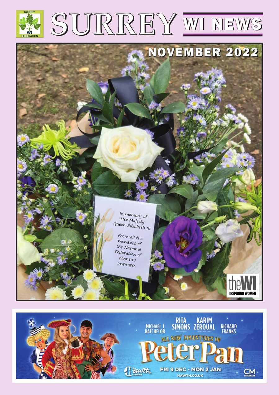 Surrey WI News - Nov 2022 by Greg Davis - Flipsnack