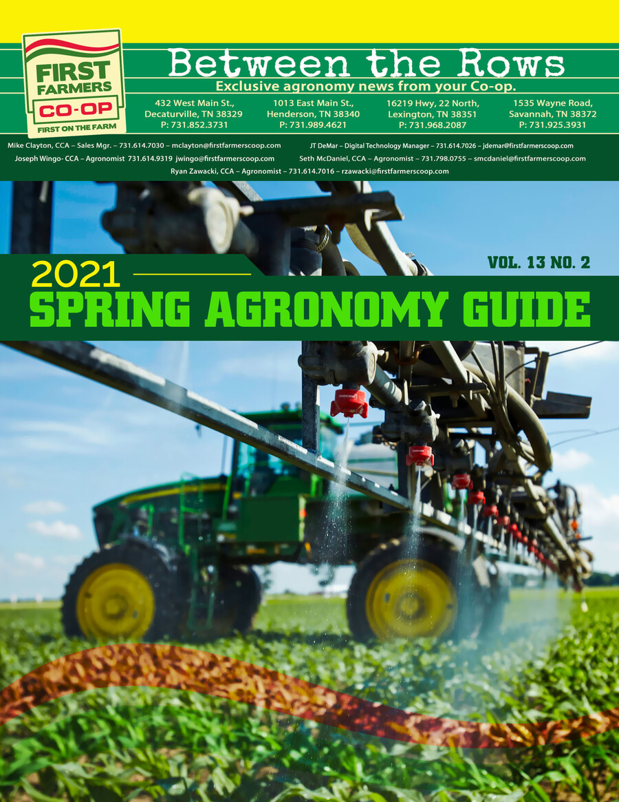 BTR_2021_Vol 13 No_2_Burndown by Rachel Byrd - Flipsnack