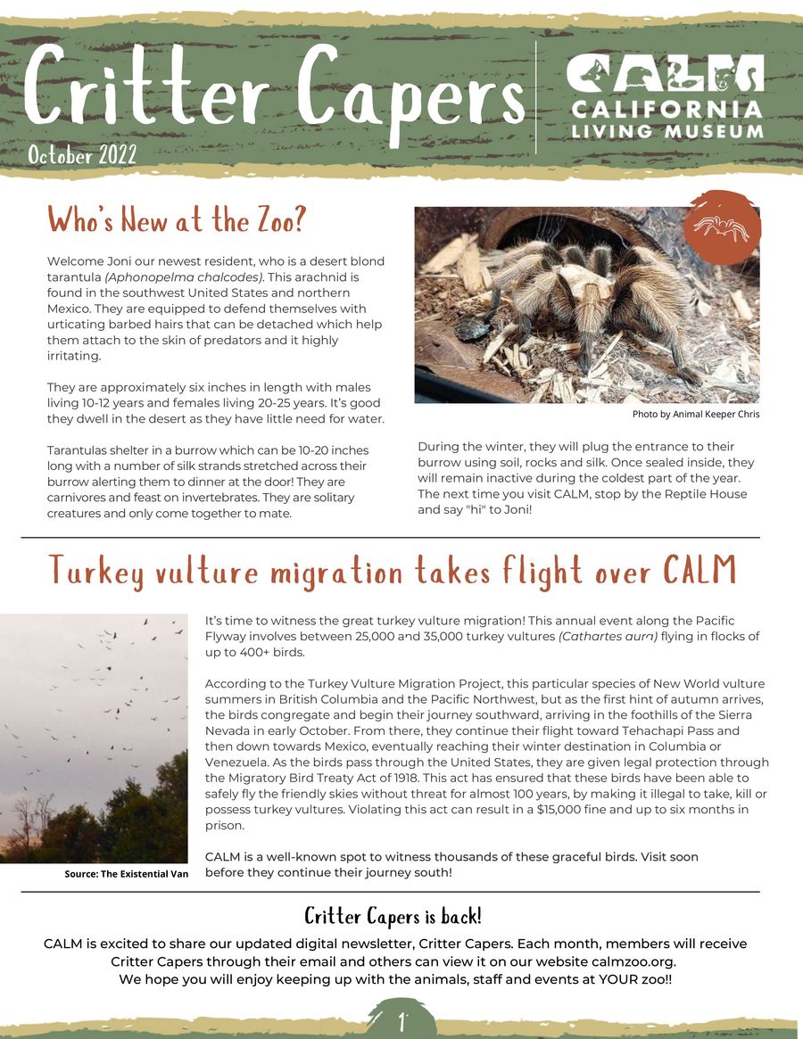 Copy of FALL 2022 CALM Critter Capers 2 by KCSOS - Flipsnack