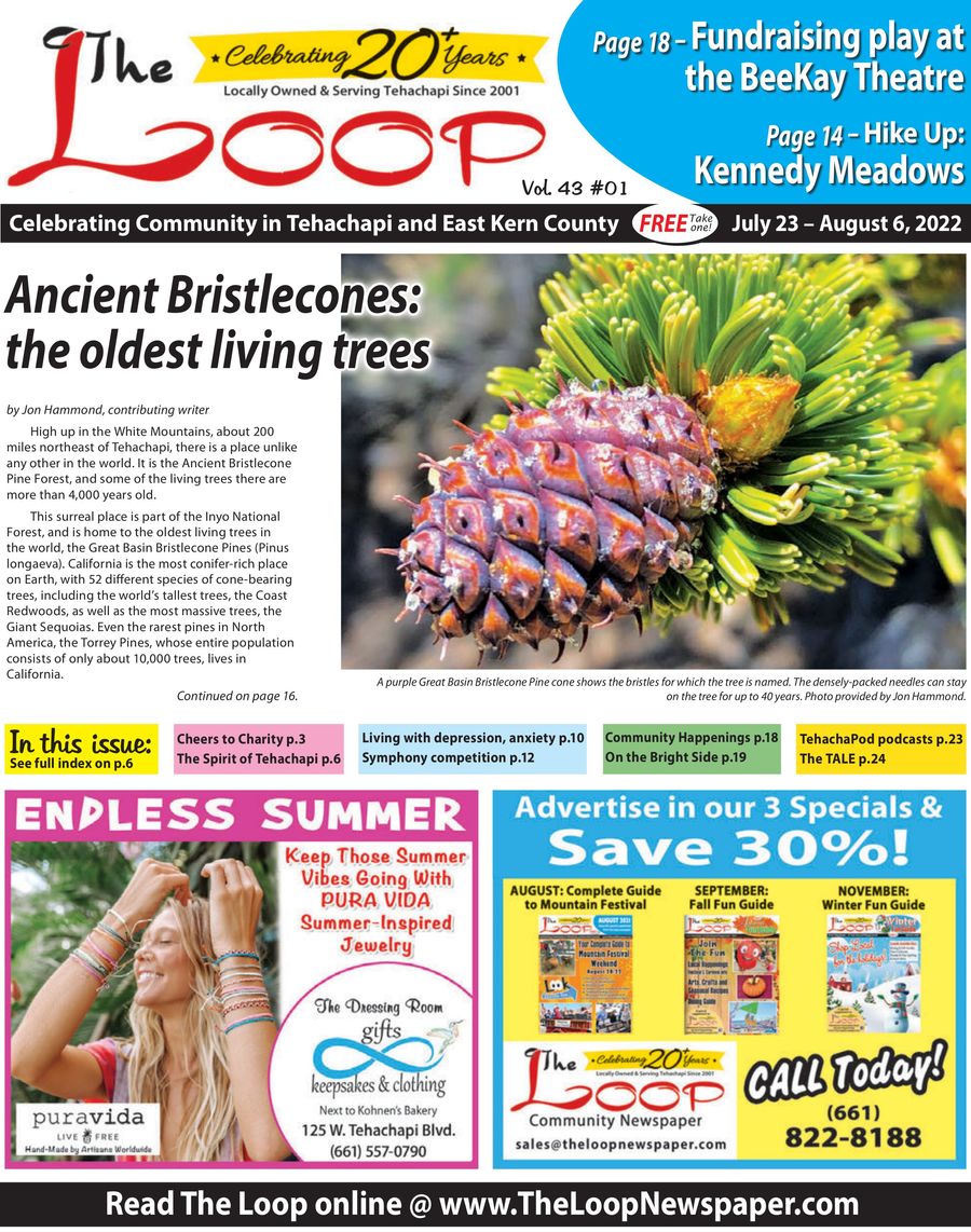 The Loop Newspaper - Vol 43 No 01 - July 23 to Aug 6, 2022 by Adam ...