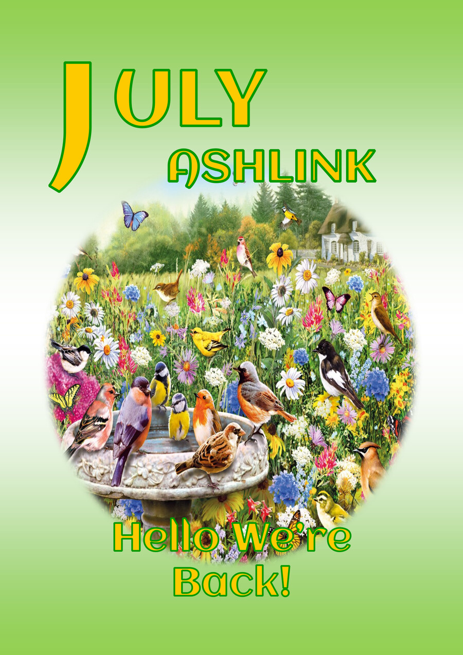 #7 JULY Ashlink 2020 by Grant Long - Flipsnack