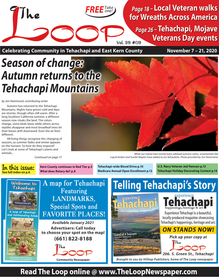 The Loop Newspaper - Vol 39 No 9 - Nov 7 - 21, 2020 by Robert - Flipsnack