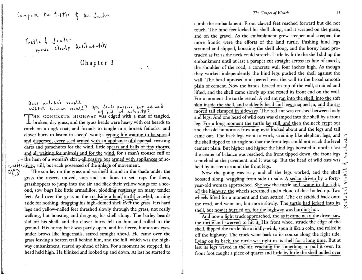 grapes example marginalia by Sarah Carlson-Lier - Flipsnack