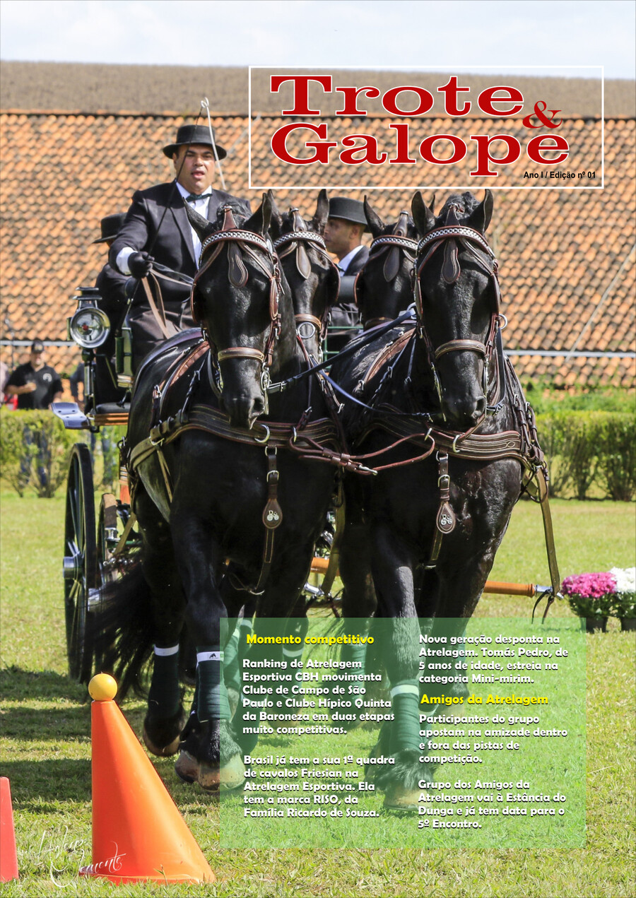 Revista Trote & Galope_edicao2 by - Flipsnack