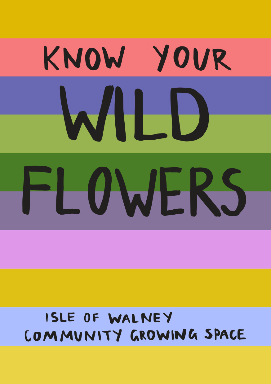 Know Your Wild Flowers by Art Gene - Flipsnack