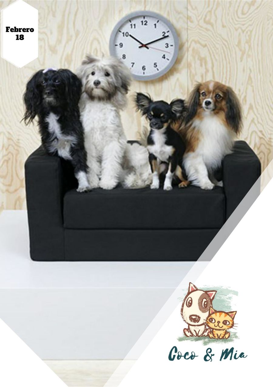 Coco&Mia by sara - Flipsnack