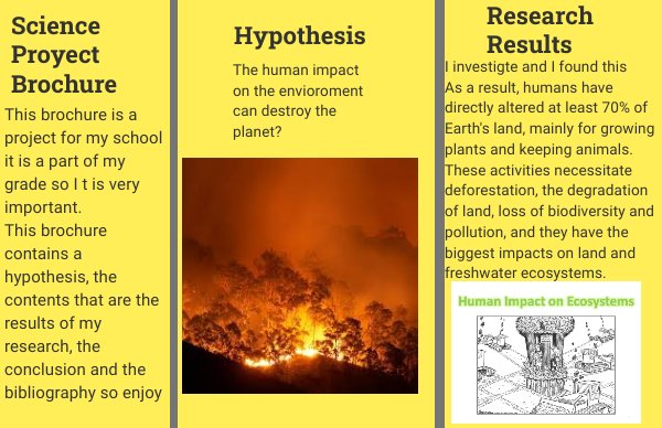 Unit 1 - Proyect Brochure by... - Flipsnack