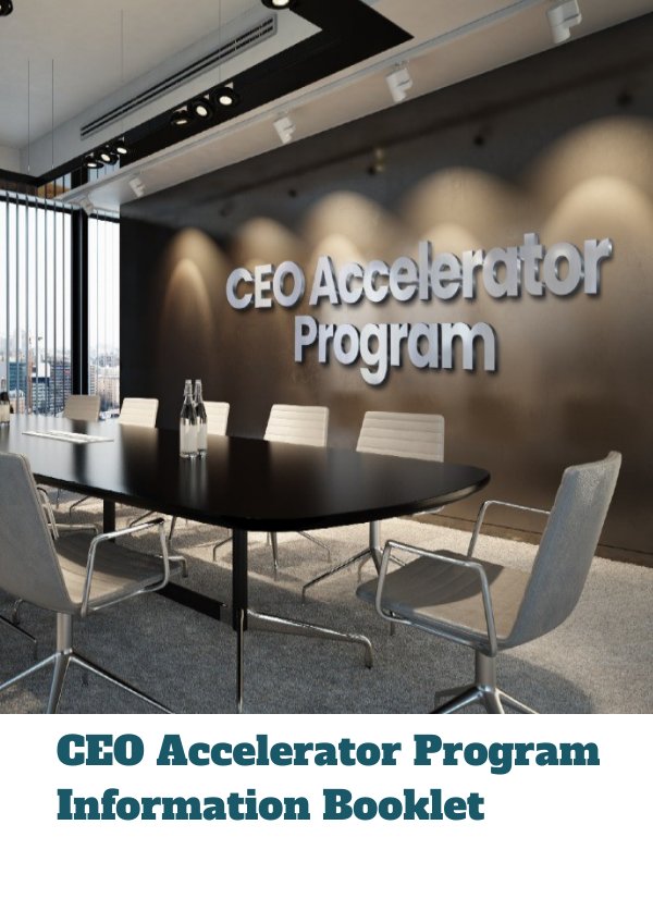 CEO Accelerator Program by TEMPLE... - Flipsnack