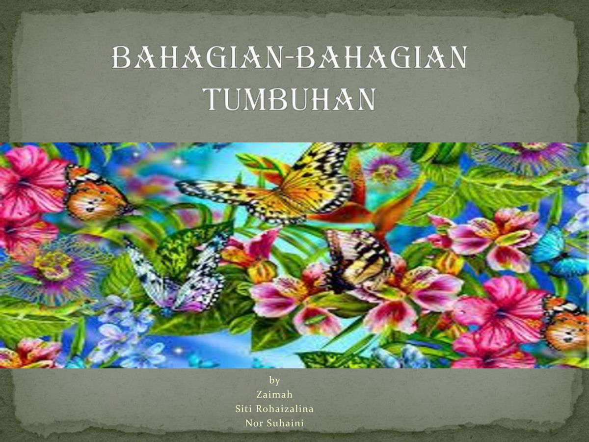 BAHAGIAN TUMBUHAN by snzportfolio - Flipsnack