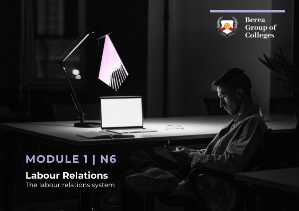 Labour Relations N6 Module 1 by E-Publishing - Flipsnack