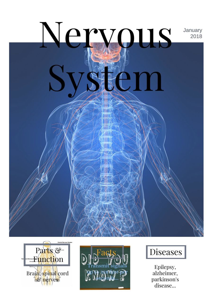 NErvous system by isabelmagazine - Flipsnack