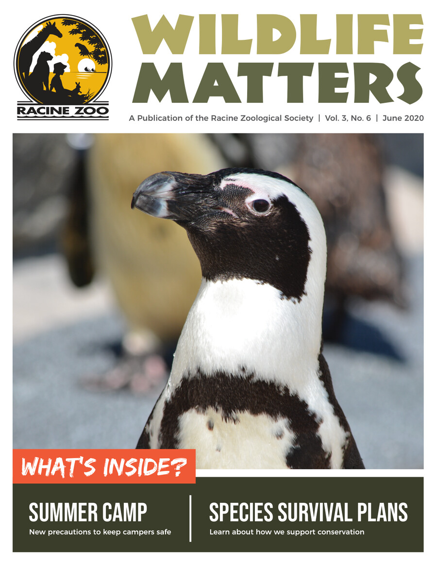 Wildlife Matters June 2020 by Beth Heidorn - Flipsnack