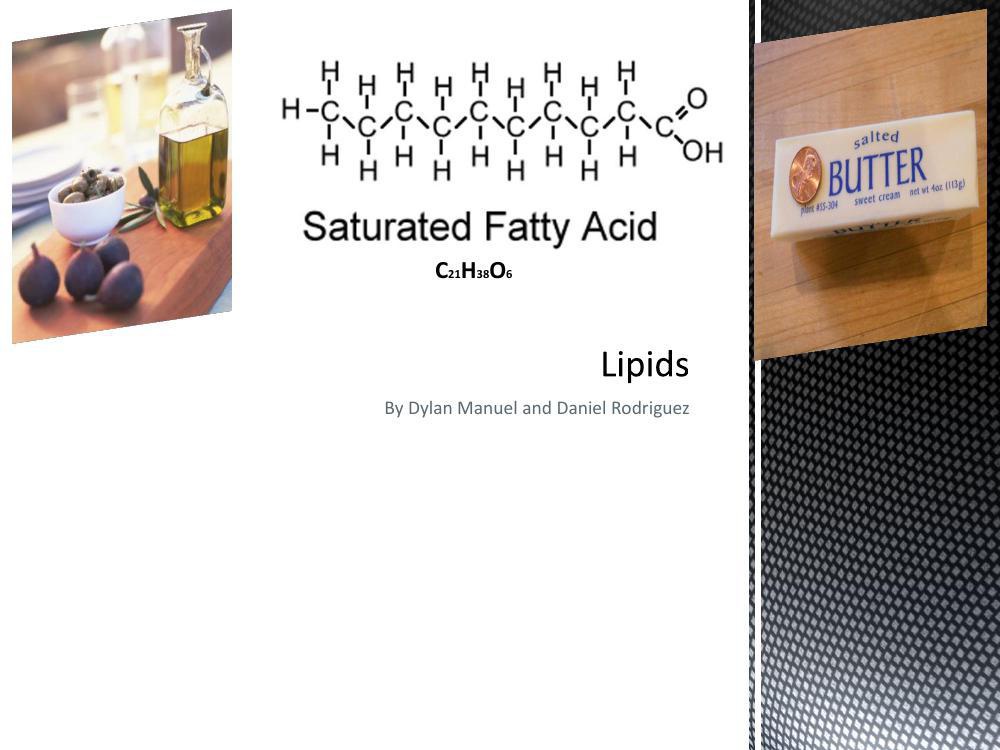 Lipids Project- Manuel, Rodriguez by Dylan Manuel - Flipsnack