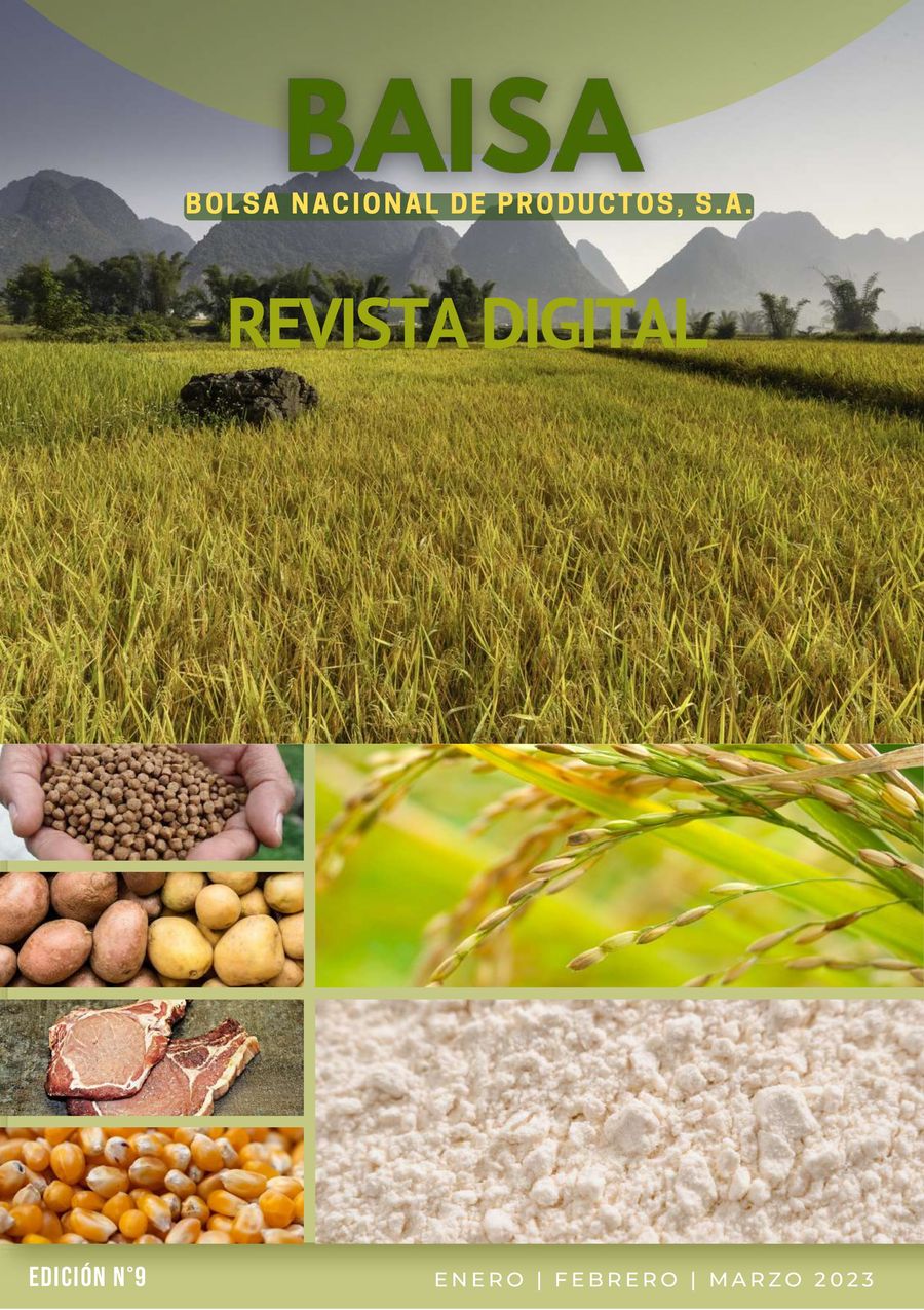 REVISTA DIGITAL BAISA - I TRIMESTRE 2023 by baisa baisa - Flipsnack