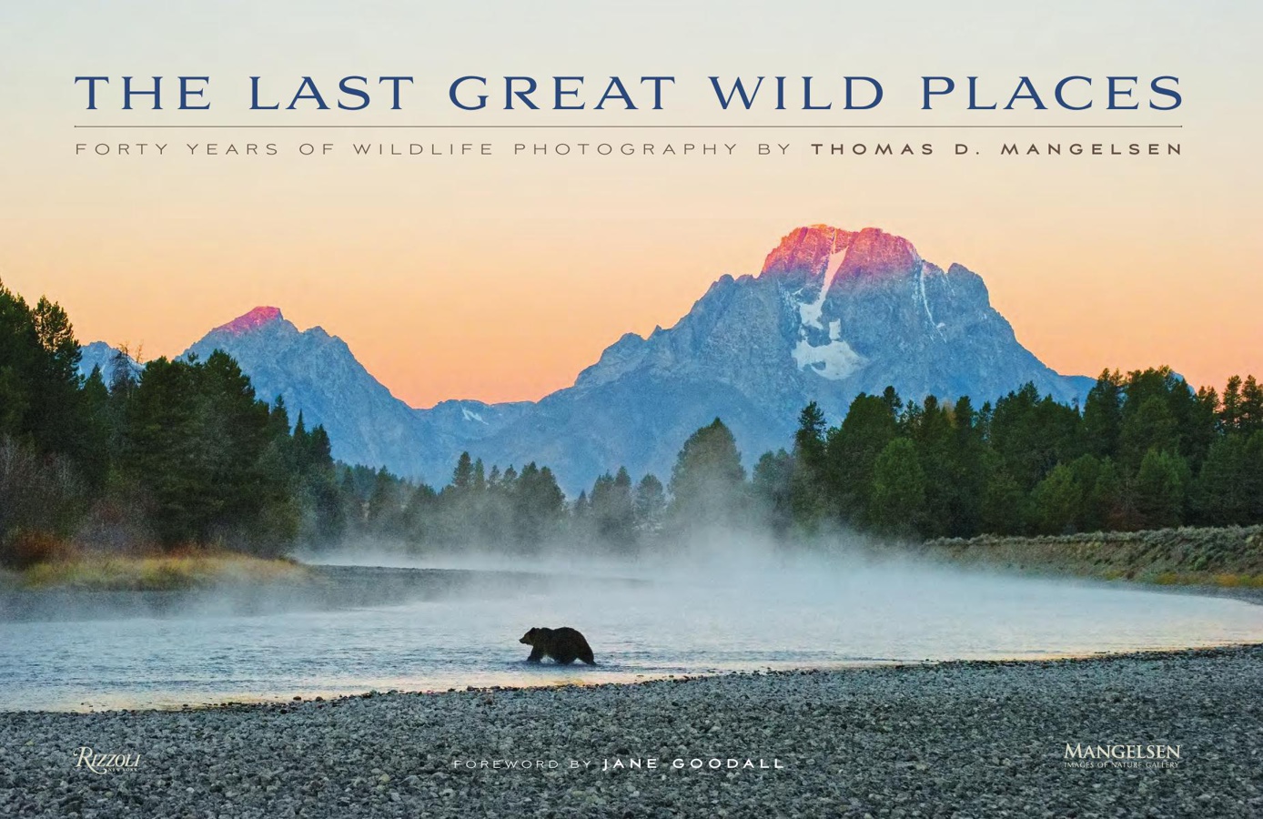 The Last Great Wild Places: Forty Years of Wildlife Photography by ...