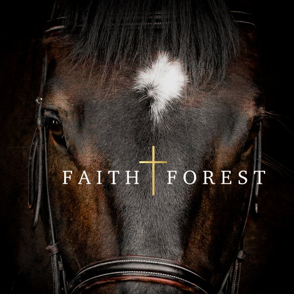 2021 Faith + Forest Pricing Guide by Amanda May - Flipsnack