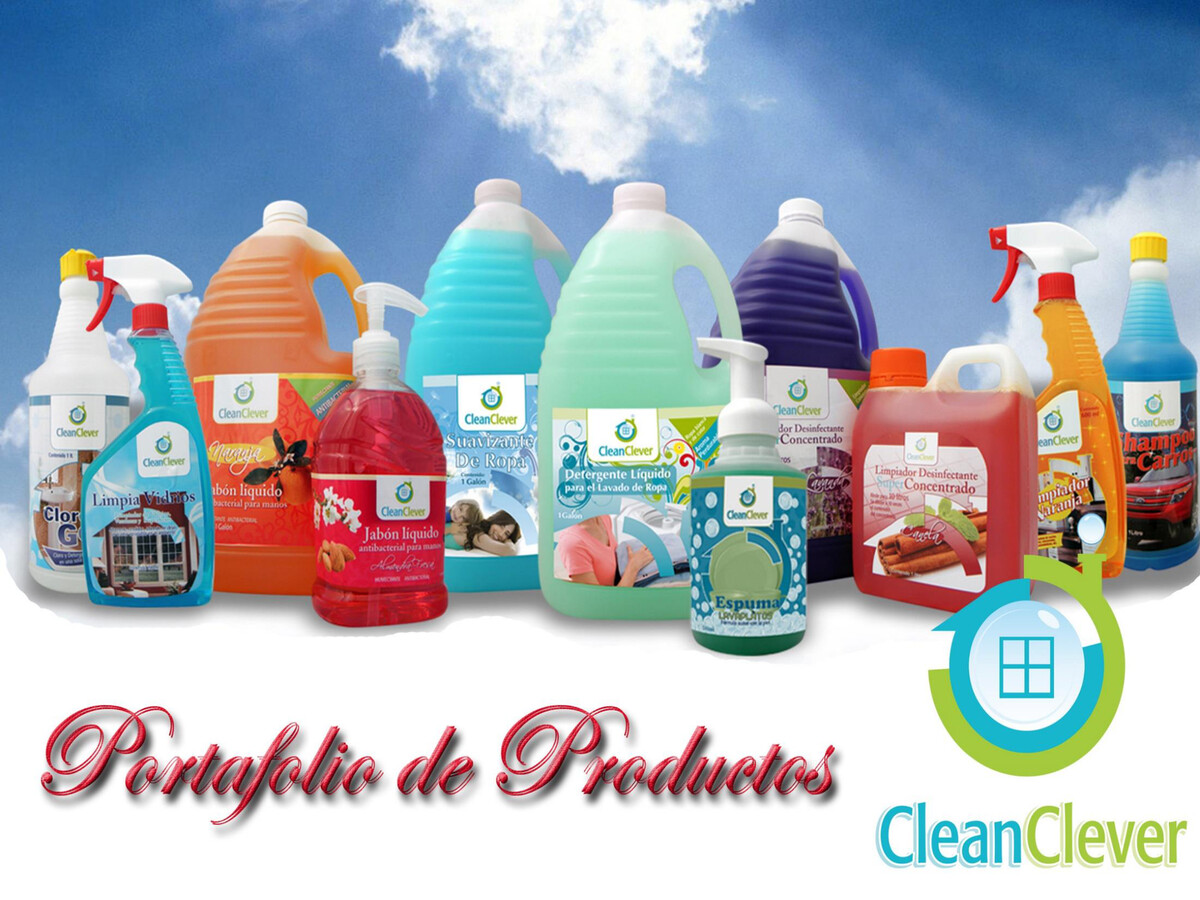 Portafolio Industrial Clean Clever 2021 by Clean Clever - Flipsnack