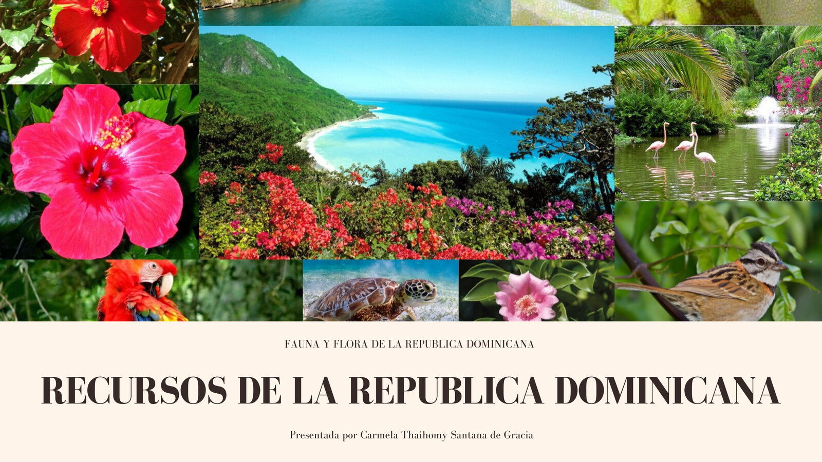 Flora y fauna de republica dominicanas by Carmela Santana - Flipsnack