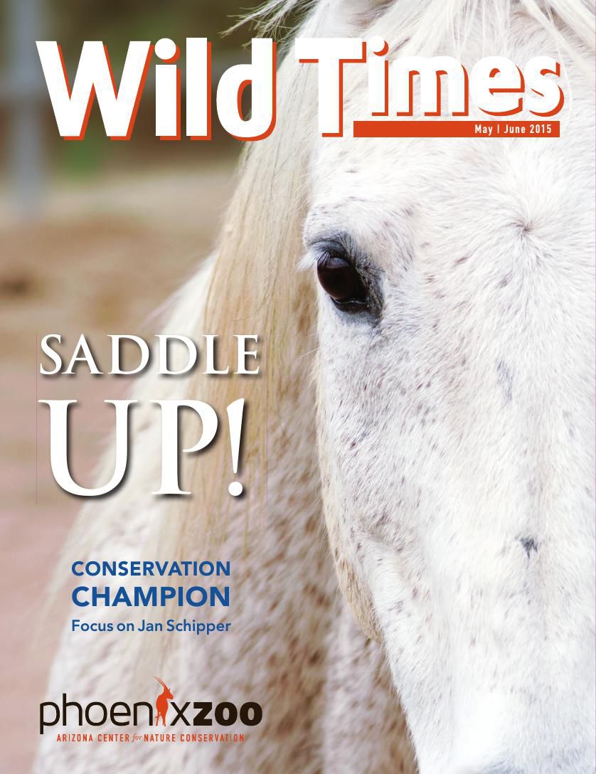 Wild Times May / June 2015 by phxzoo - Flipsnack