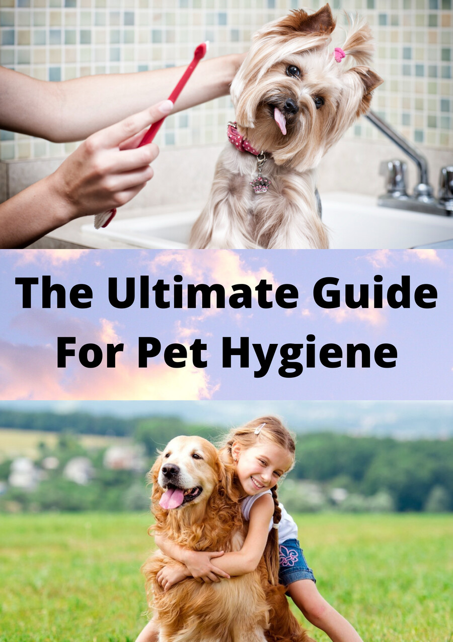 The Ultimate Guide For Pet Hygiene by Henry Smith - Flipsnack