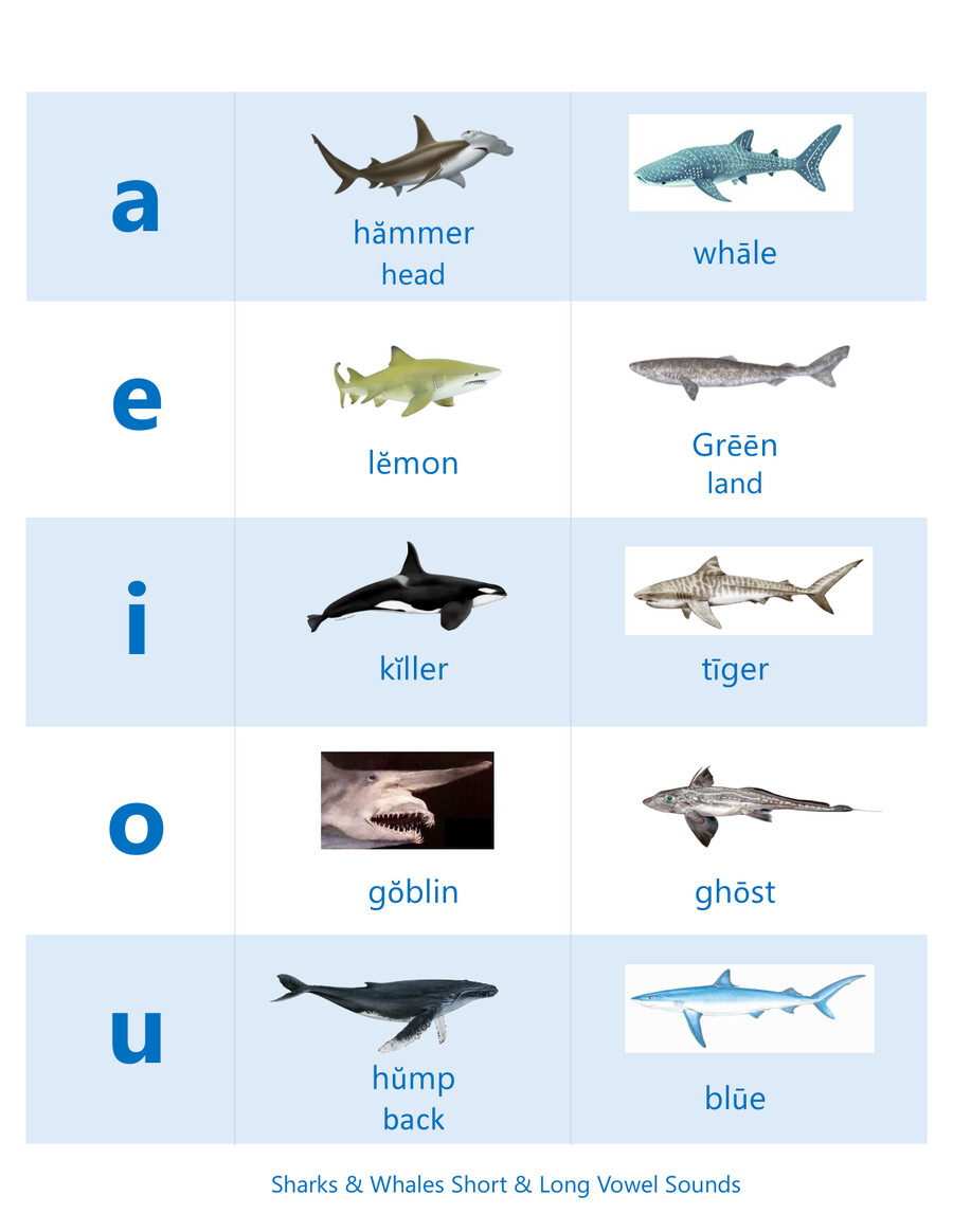 Z - Shark Vowel Chart - Long and Short by Carey Ann Strelecki - Flipsnack