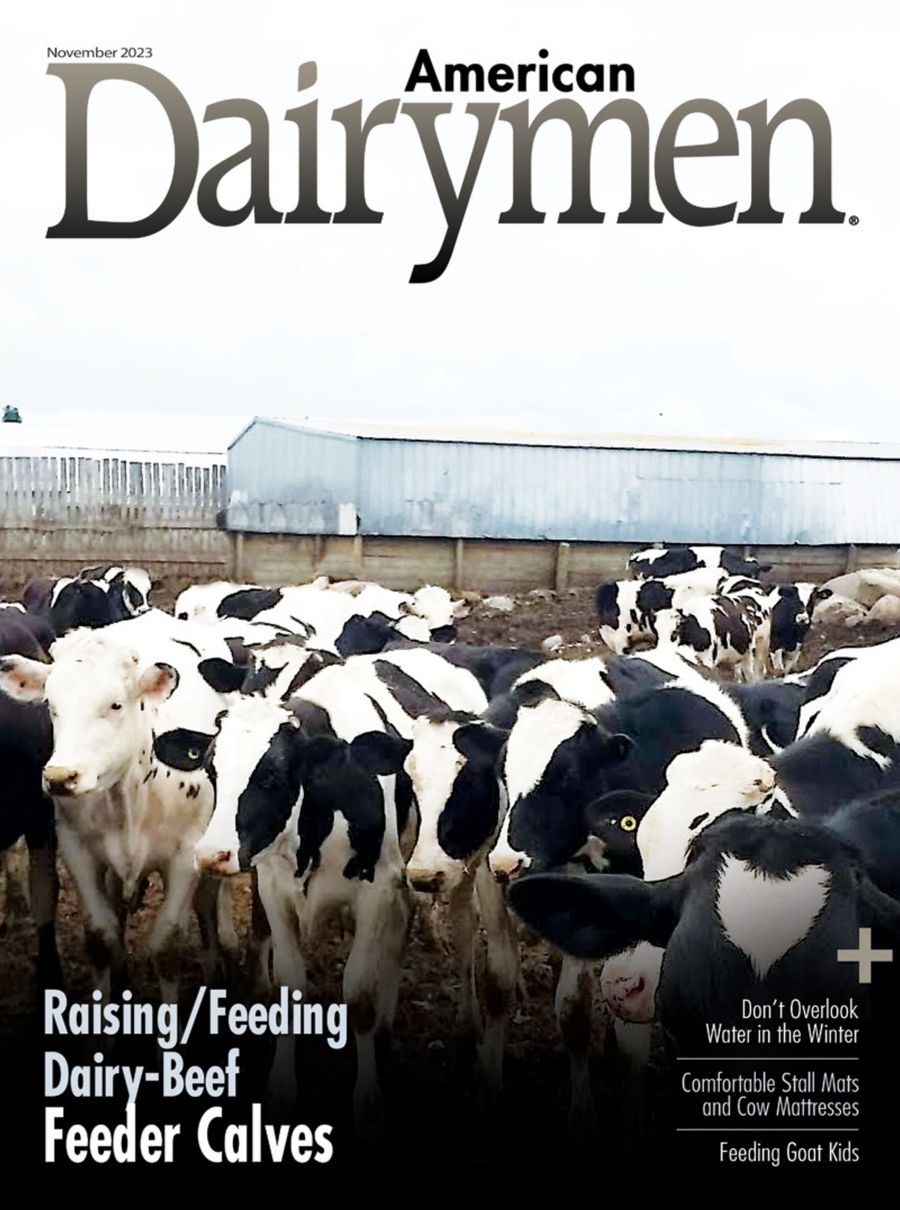 American Dairymen November 2023 by Dustin Hector - Flipsnack