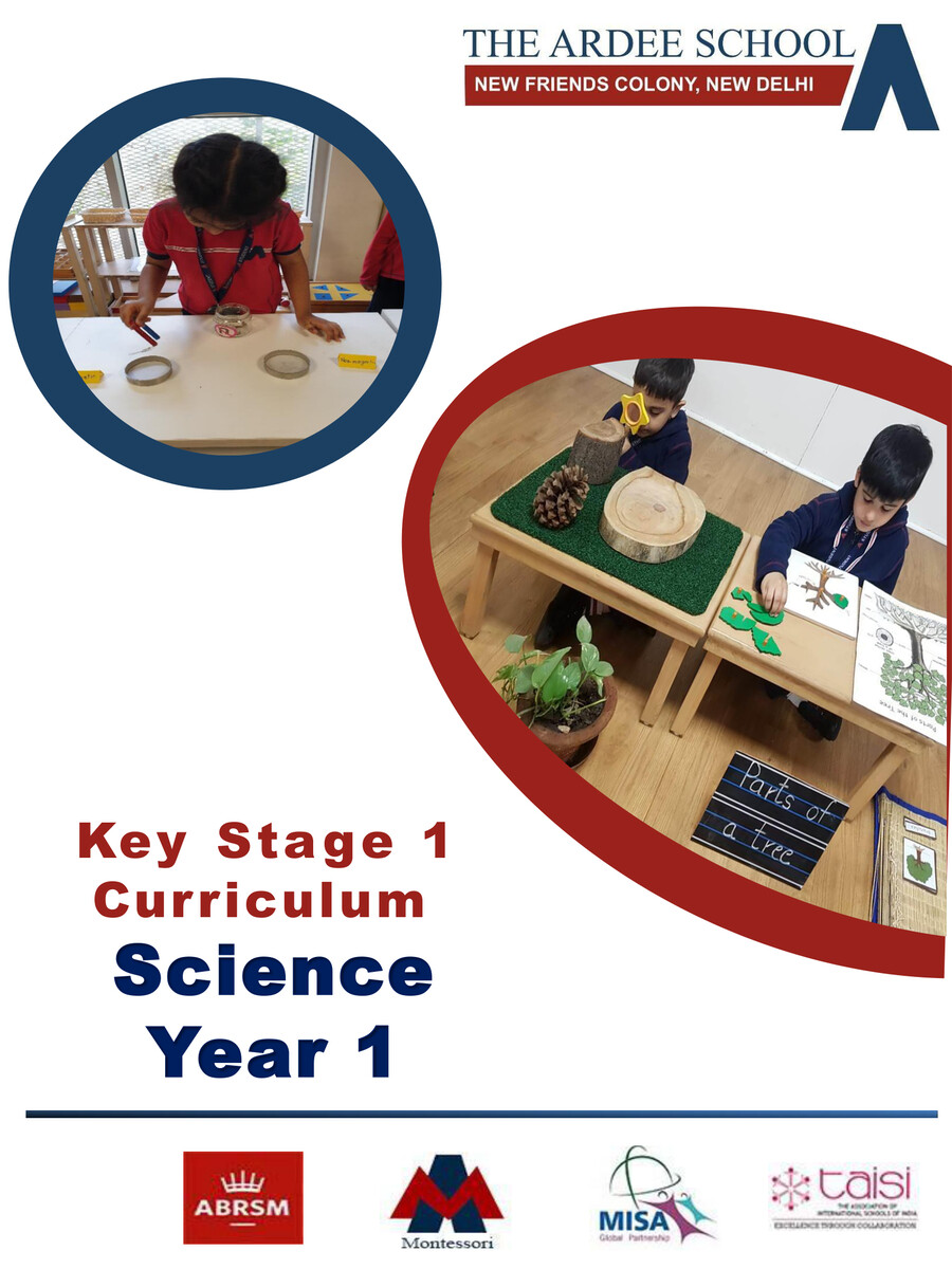 Science final curriculum 2021-2022 by Shweta Arora - Flipsnack