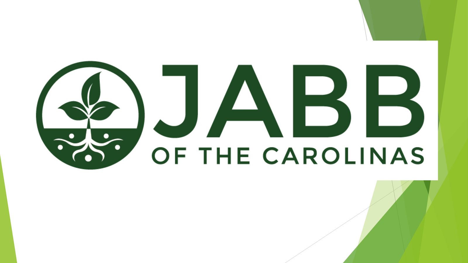 JABB slides by Carlton - Flipsnack