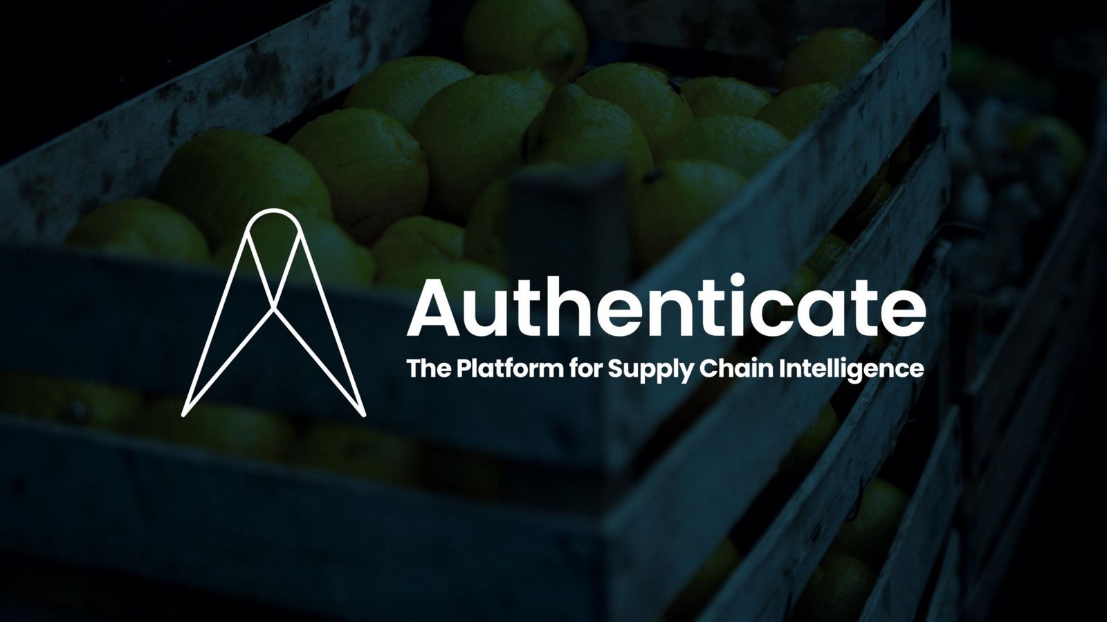 Authenticate Company Intro by Authenticate - Flipsnack
