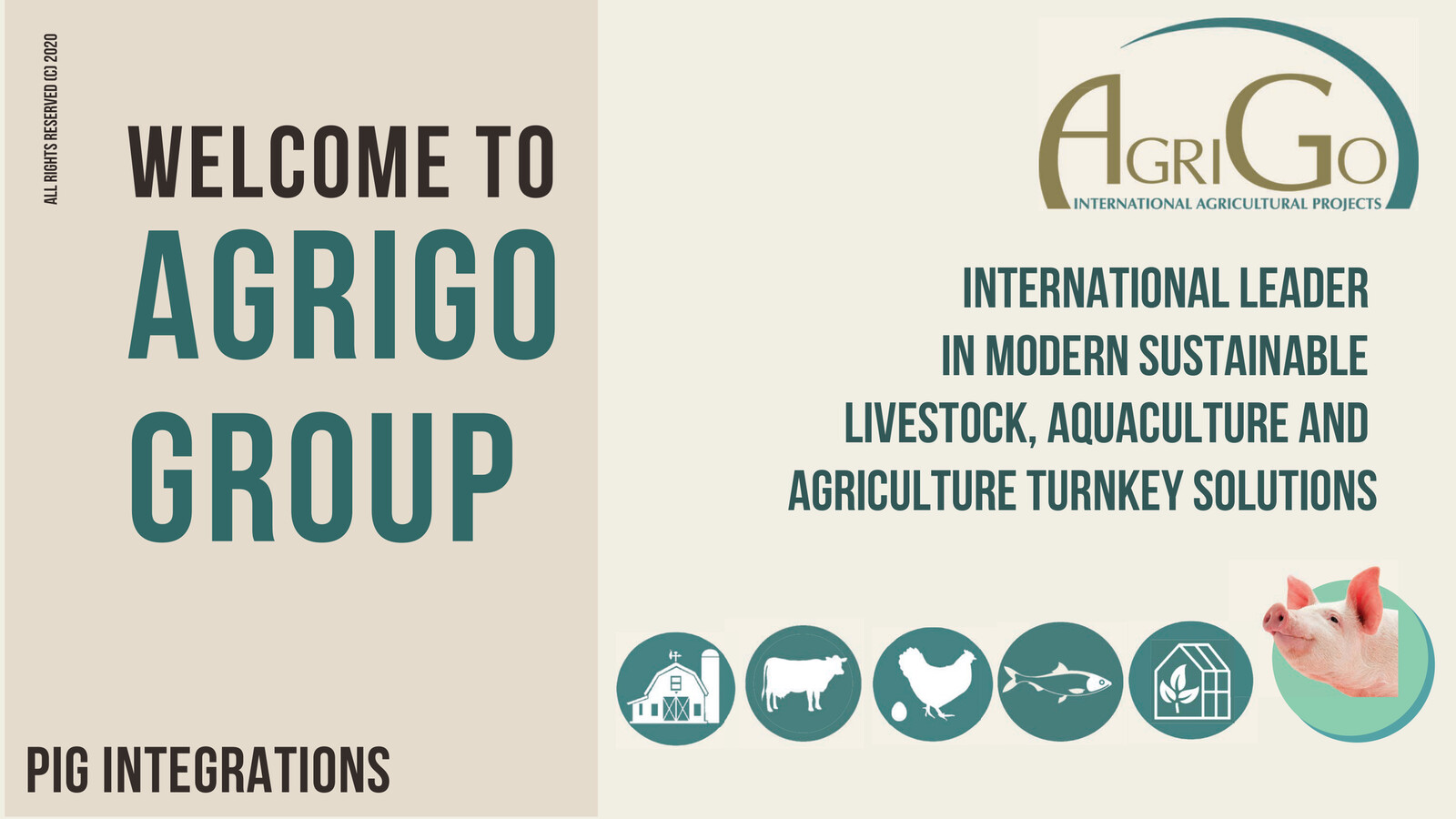 AgriGo - Pigs Farming Solutions by AgriGo Group - Flipsnack