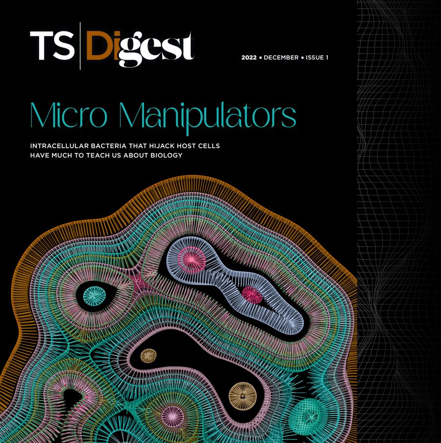 TS Digest DEC_22_D1 by info - Flipsnack