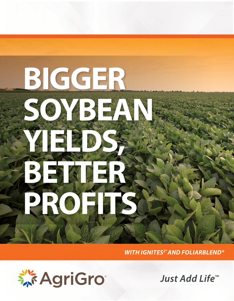 Soybean Brochure 2020 by AgriGro Inc - Flipsnack