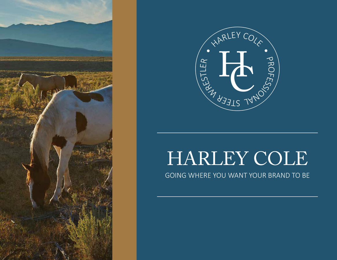 Harley Cole Promo Pack by Glenna - Flipsnack