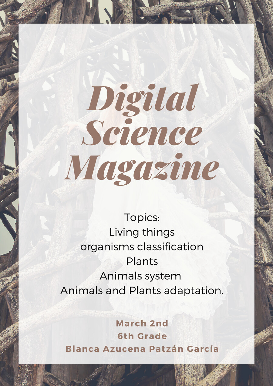 Digital Science Magazine by Blanca... - Flipsnack