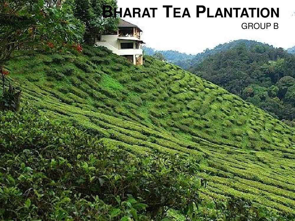 SITE ANALYSIS - Bharat Tea Plantation by Alexis - Flipsnack