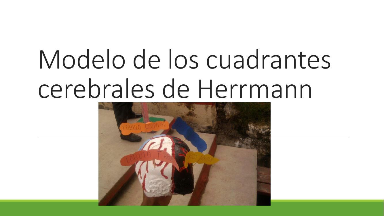 Modelo de los cuadrantes cerebrales de Herrmann by Valeria Toledo lopez ...