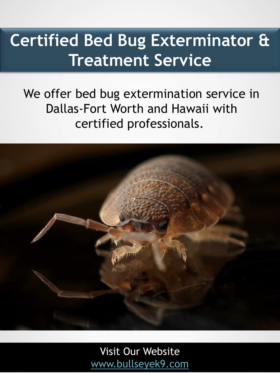 Certified Bed Bug Exterminator & Treatment Service by Get Rid Of Bed ...