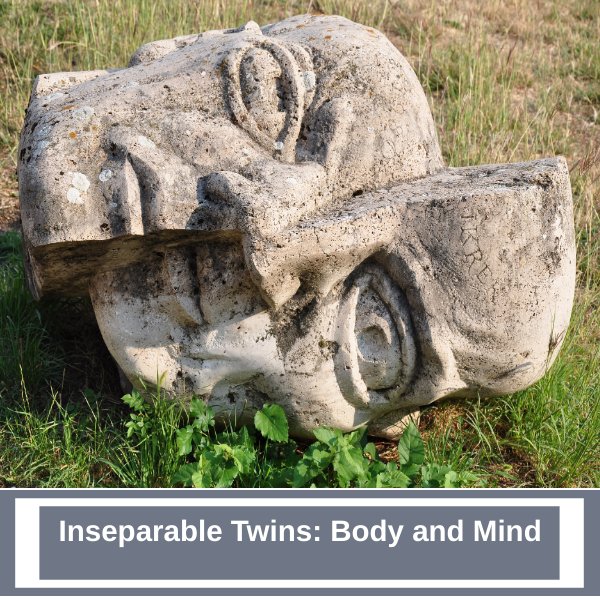 Inseparable Twins: Body and Mind by Annie Barker - Flipsnack