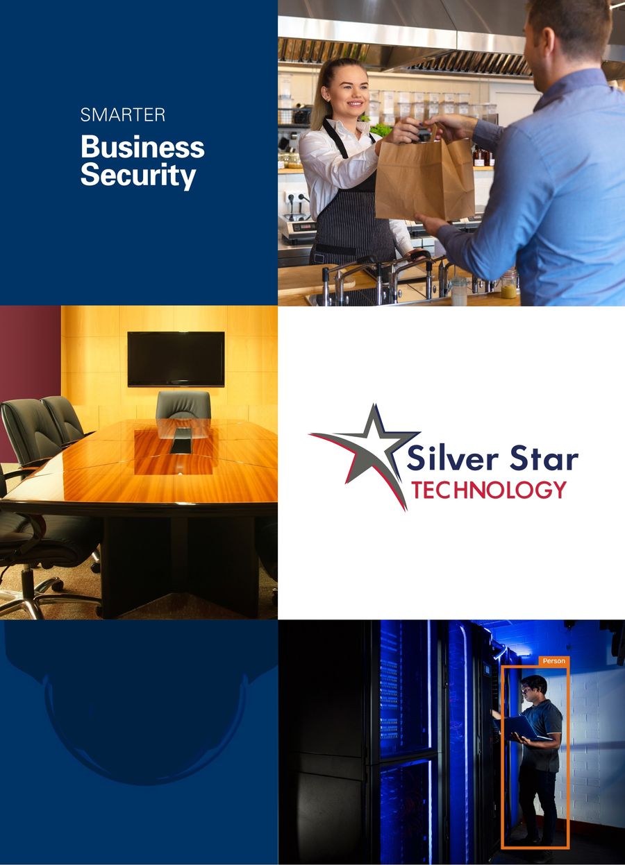 SilverStar_Commercial by Diana Rotondo - Flipsnack